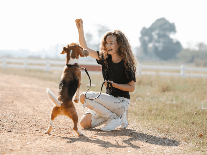 Positive and Negative Reinforcement Dog Training