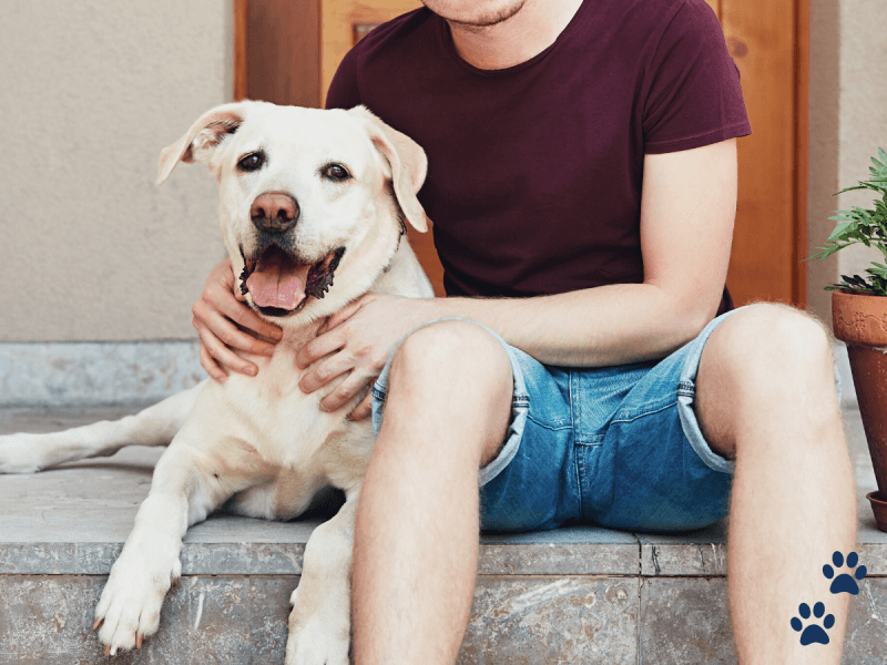 Positive and Negative Reinforcement Dog Training