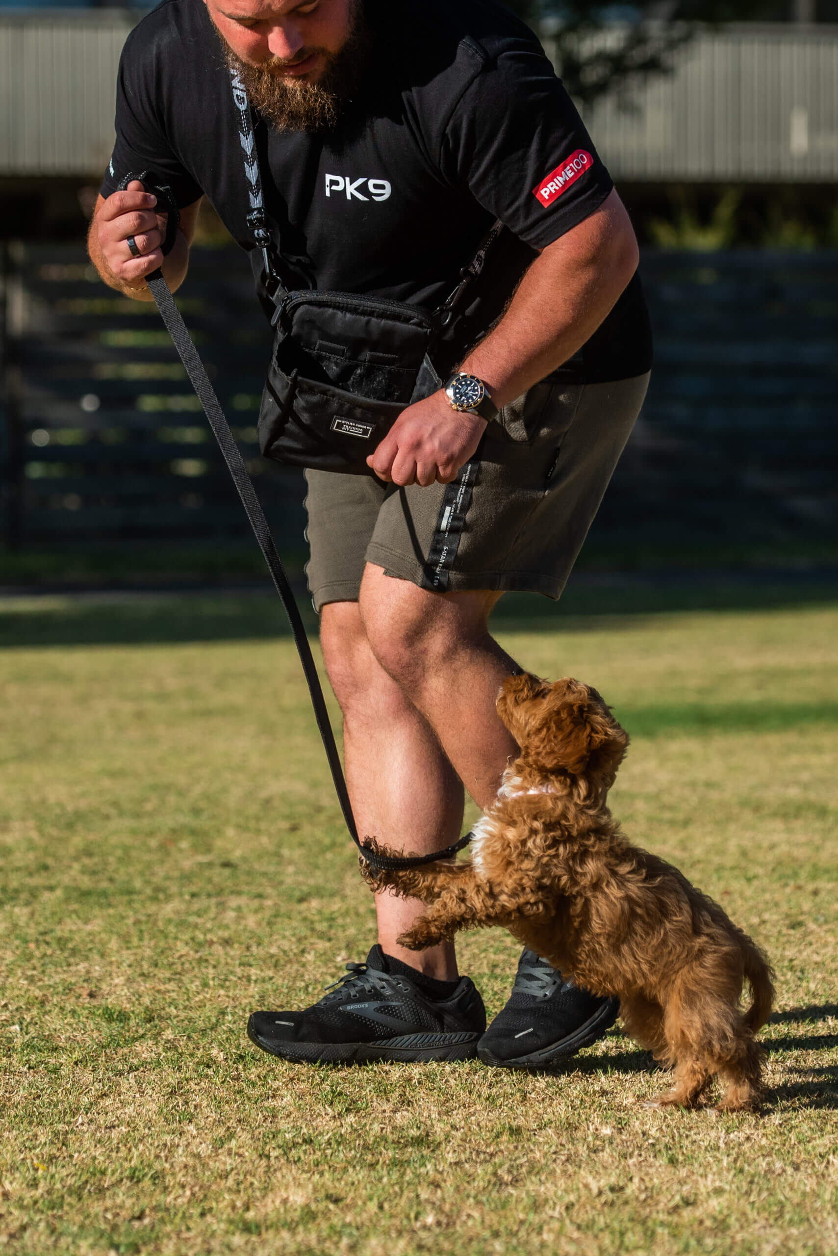 The Benefits of Puppy School - Positive K9 Training