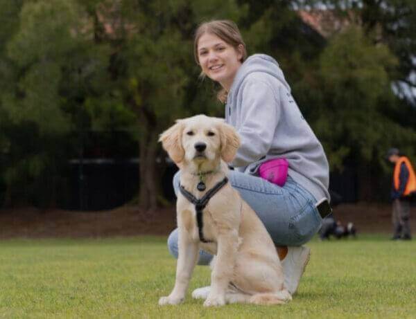 Top 11 Puppy Training Tips for New Owners - Positive K9 Training